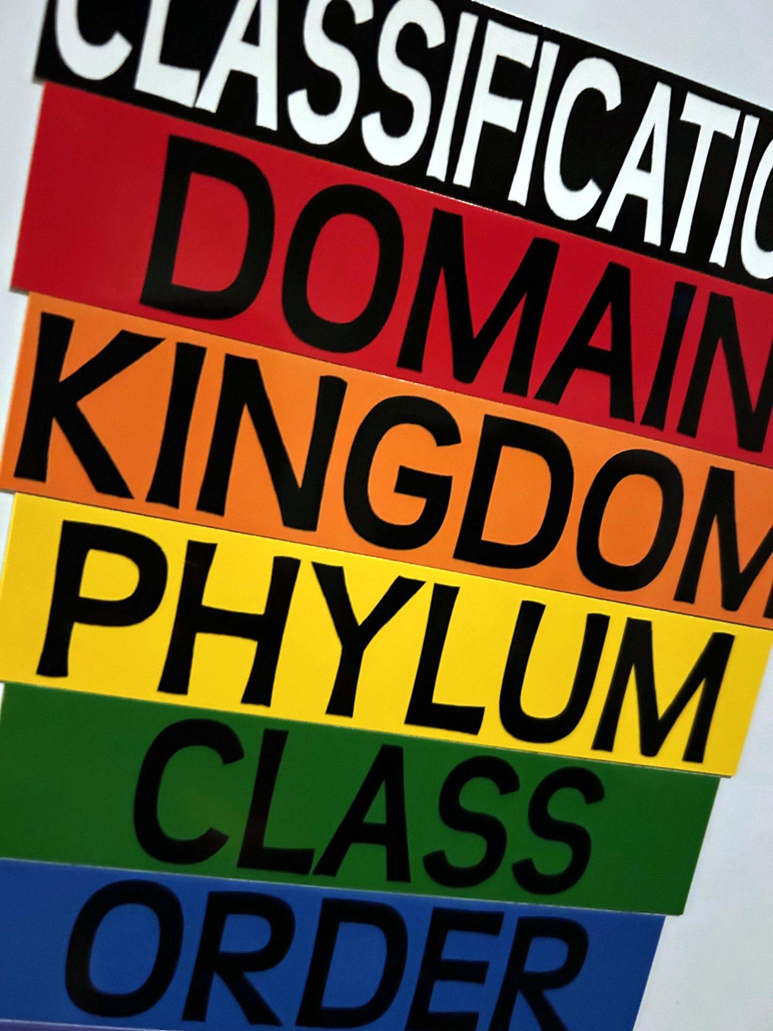 Biology Classification Pyramid! Great for the Science Classroom! - Etsy