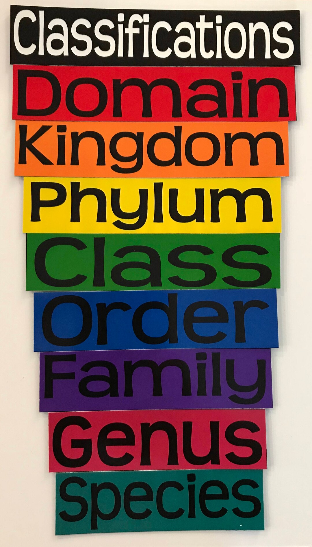 Biology Classification Pyramid Great for the Science Classroom - Etsy