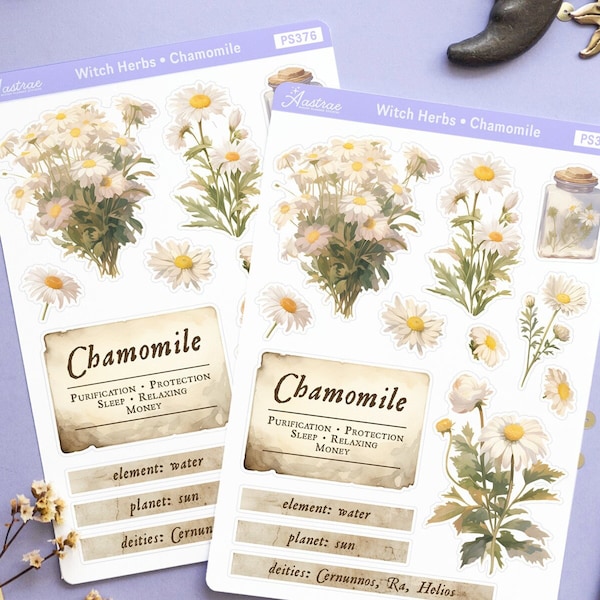 Magical Herbs - Etsy