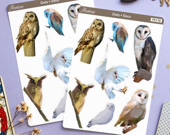 Owl Moon Sticker Sheets, 2 Sheet Bundle, Owl Sticker Stickers, Wildlife ...
