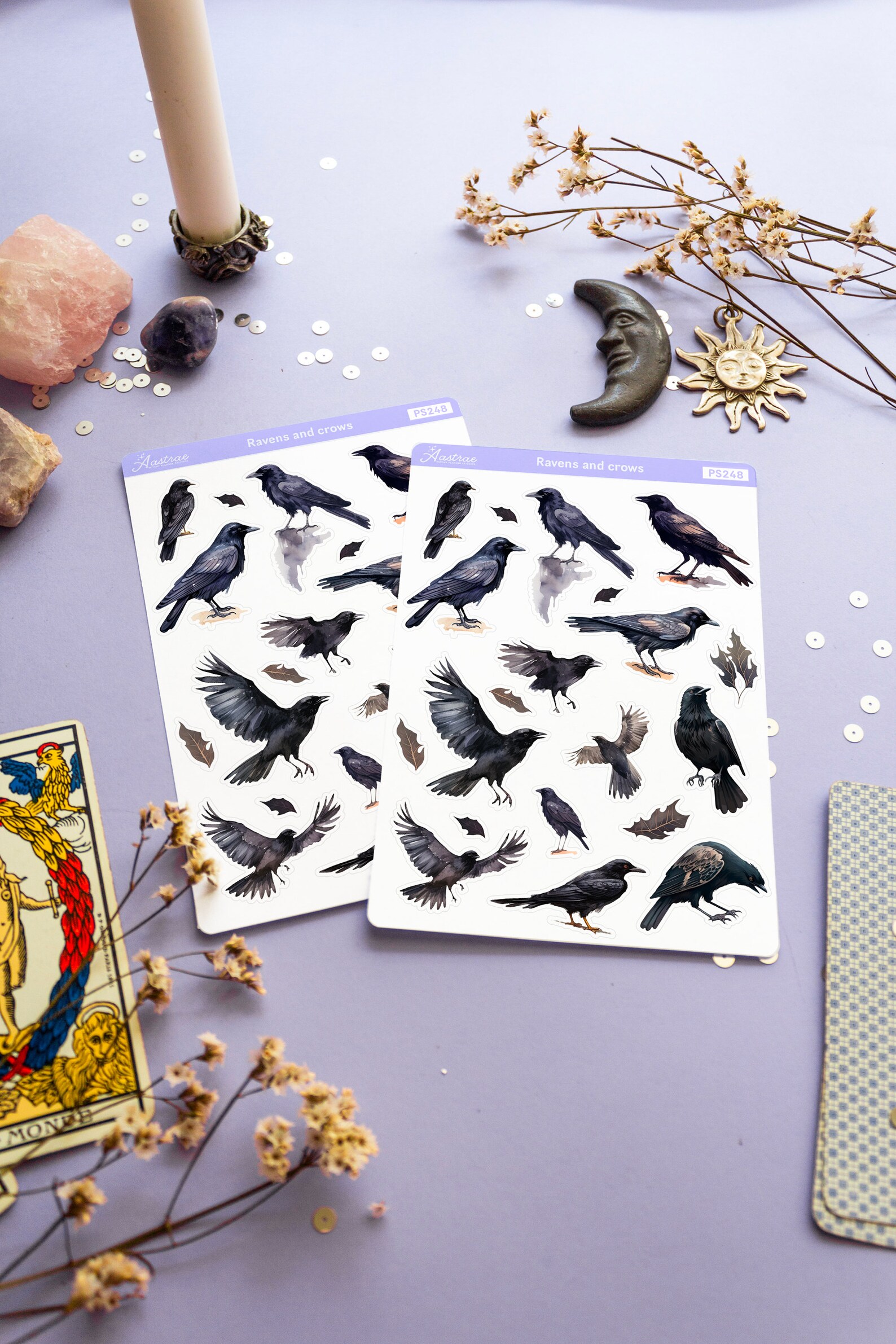 Witch Familiar Crow Stickers for Planner, Raven Stickers, Black Bird ...