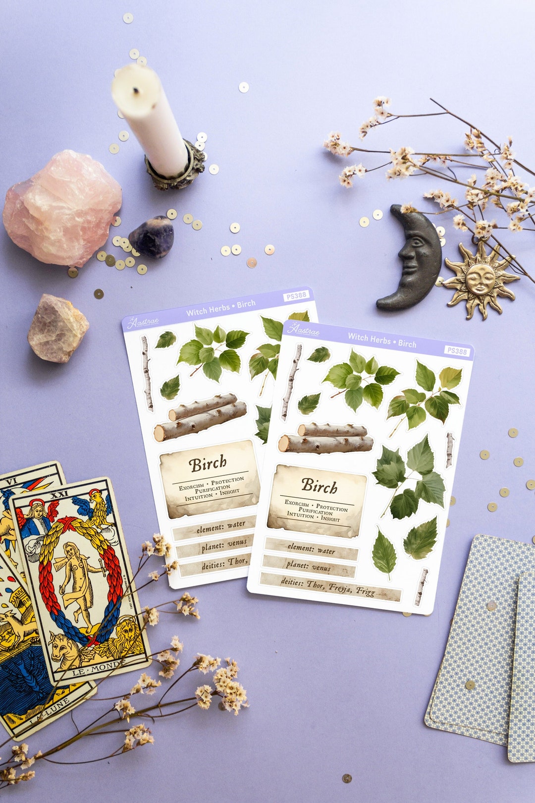 Witch Wood Birch Tree Stickers, Witch Herbs Stickers, Witchy Apothecary ...