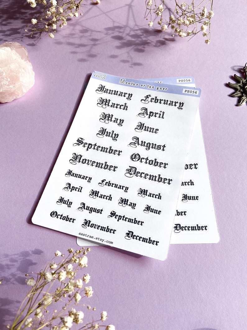 Month Stickers for Planner Month of the Year Stickers Script | Etsy
