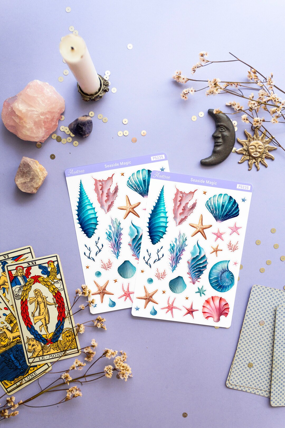 Seashell Stickers for Planner, Beach Planner Stickers, Summer Stickers ...