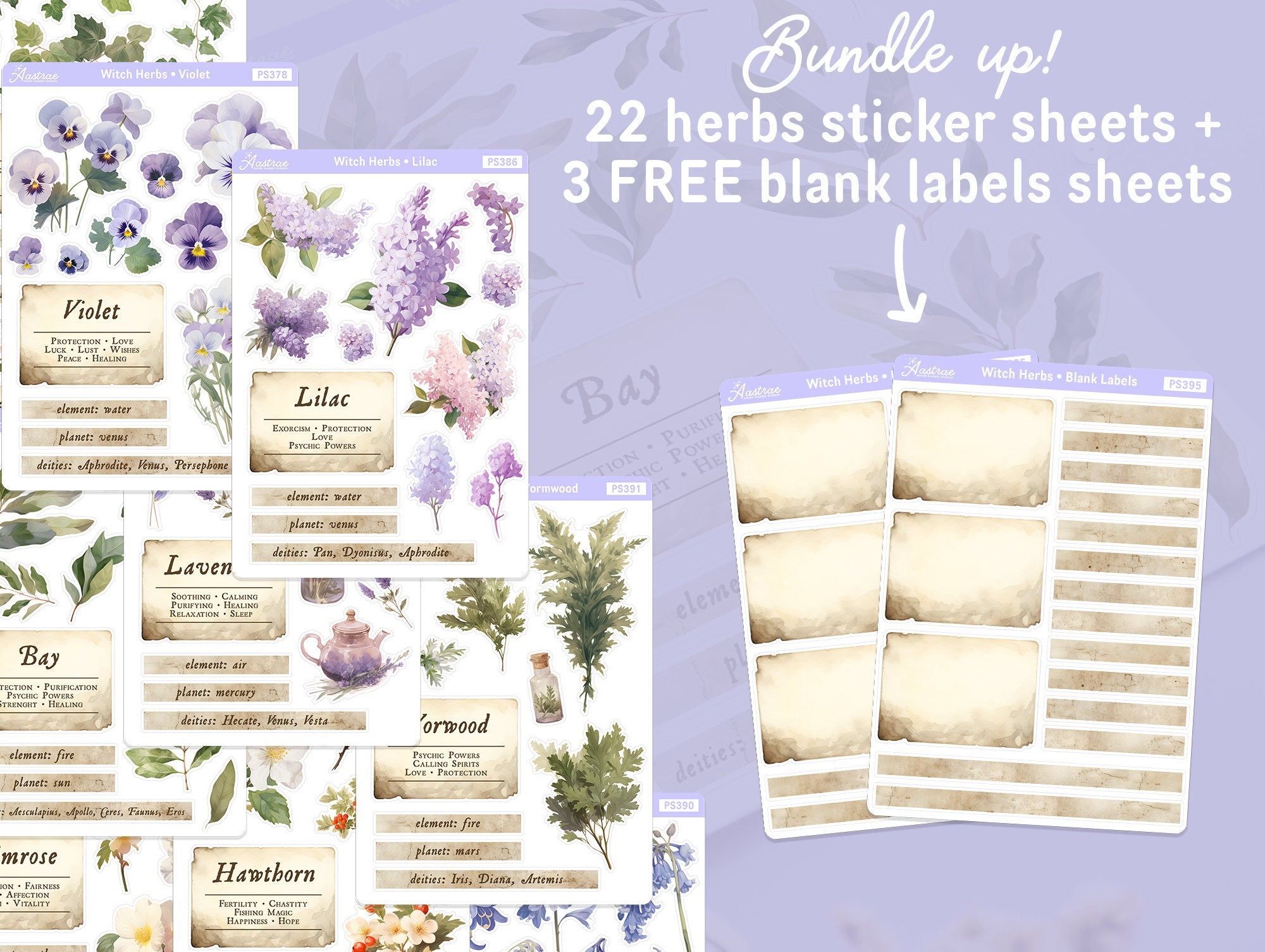 Jasmine Flower Sticker for Journaling, Jasmine Herb Magick Sticker ...