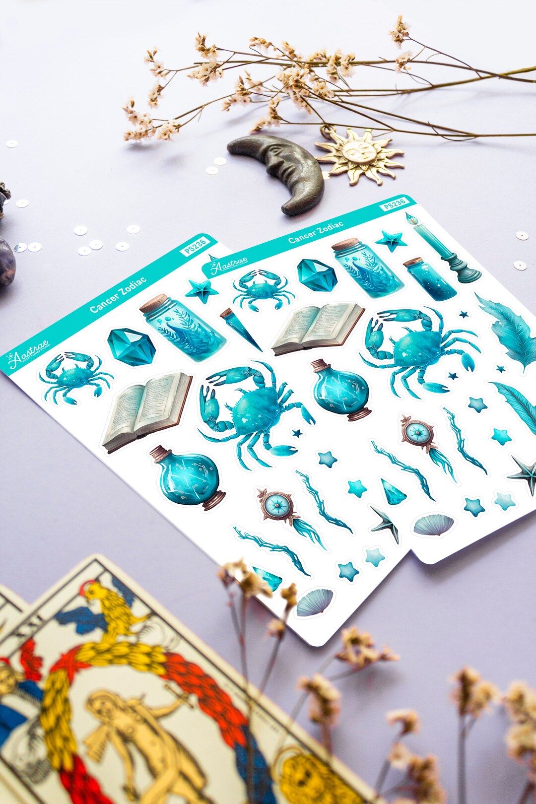 Zodiac Sign Cancer Stickers for Planner, Astrology Sticker Sheet ...