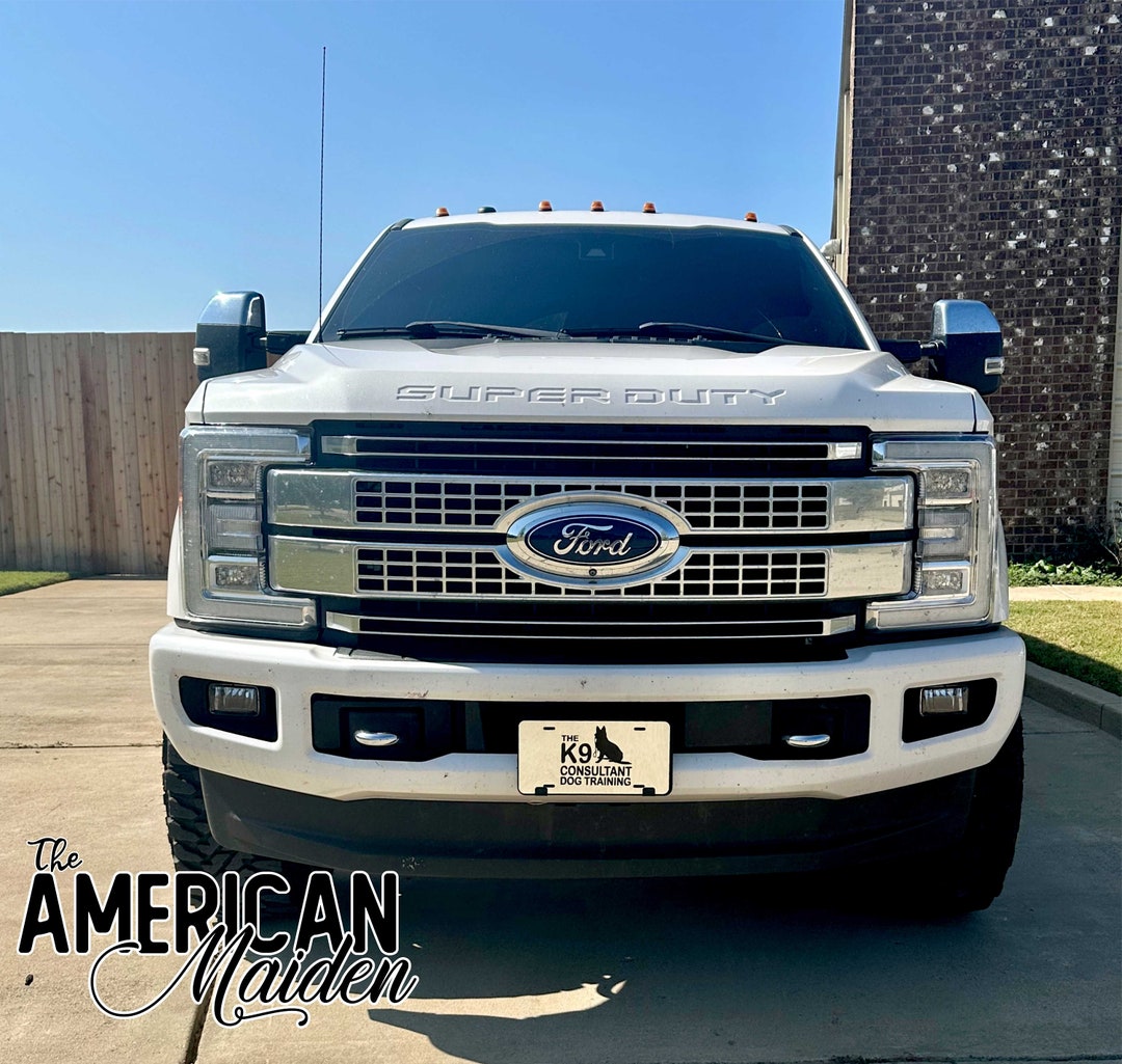 Personalized Mirror Chrome License Plate, Company Logo License Plate ...