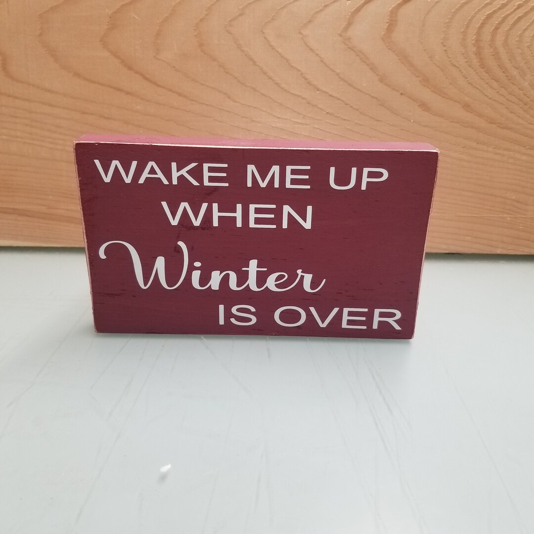Wake Me up When Winter is Over Wood Sign Dislikes Winter Funny - Etsy