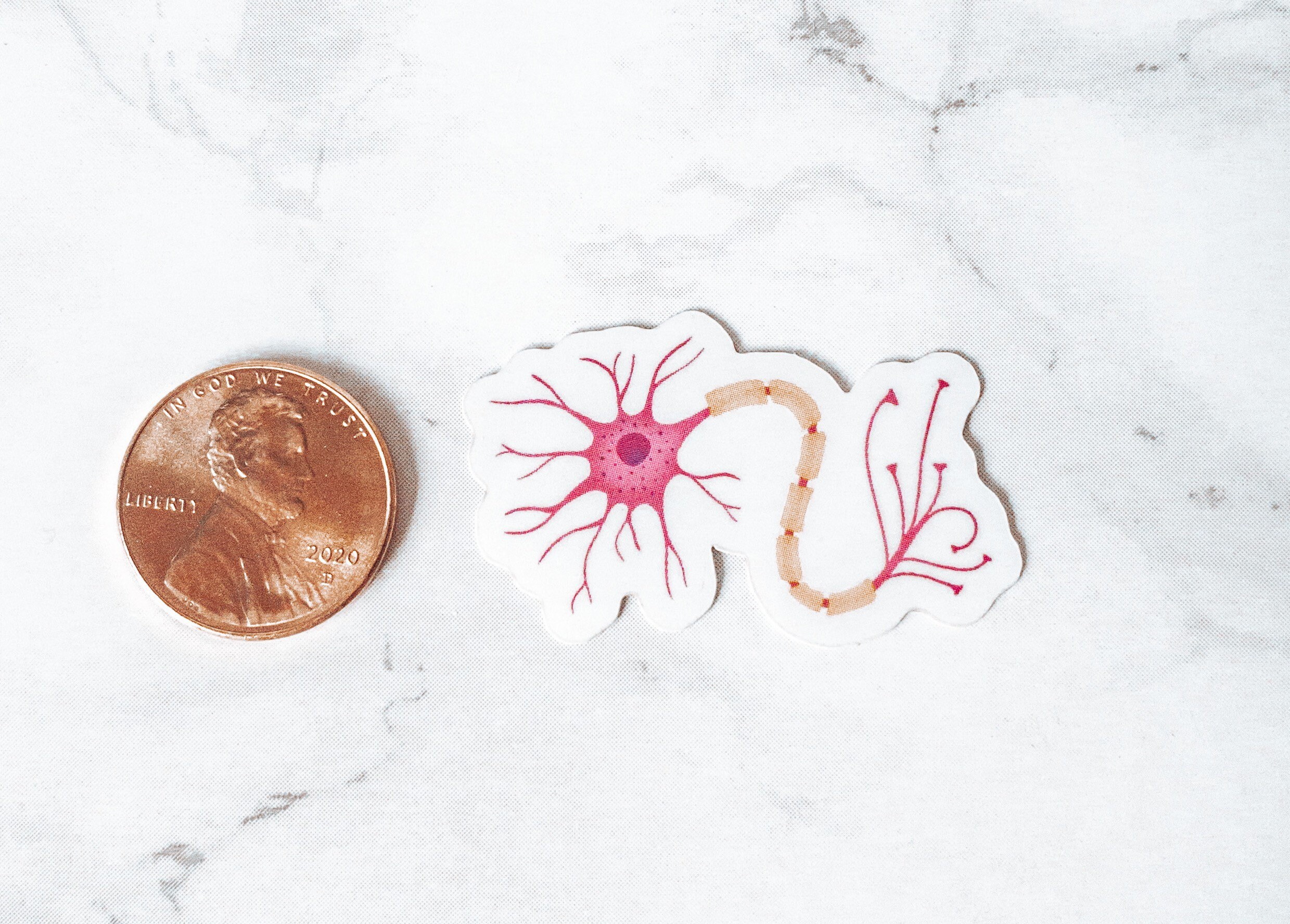 Neuron Vinyl Sticker - Etsy