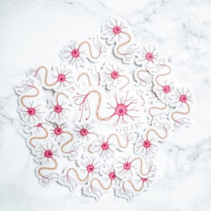 Neuron Vinyl Sticker - Etsy