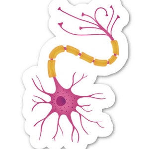 Neuron Vinyl Sticker - Etsy