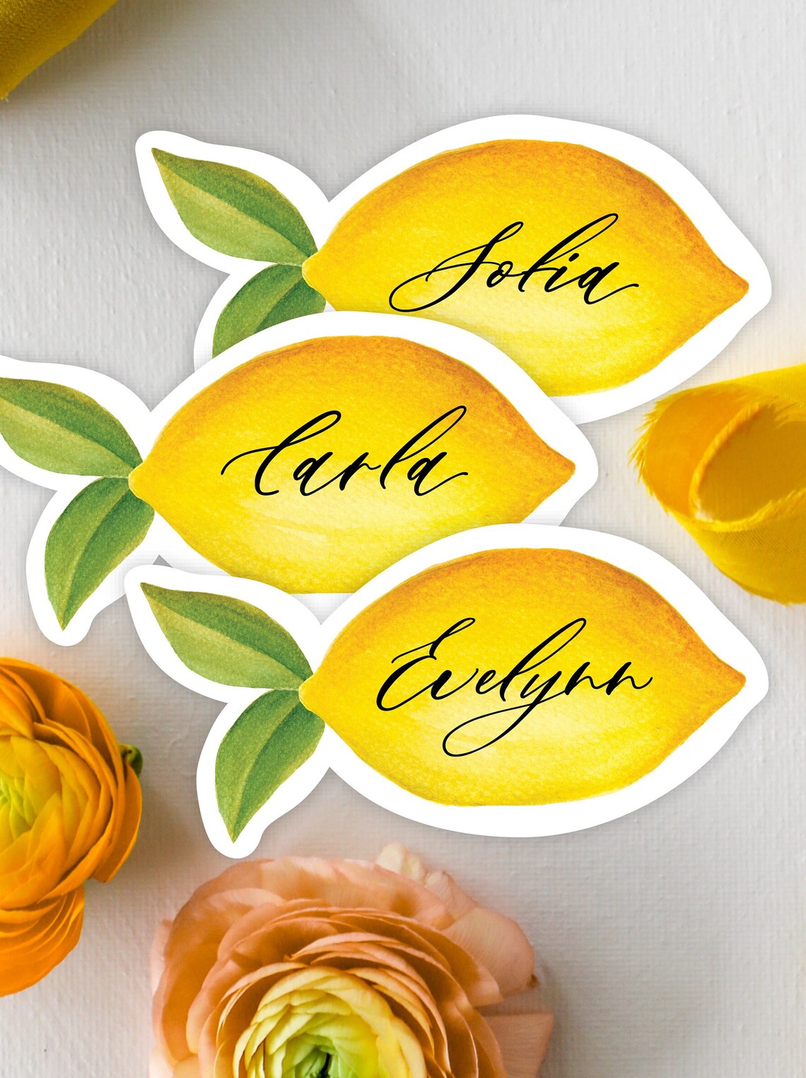 Lemon Seating Cards Mediterranean Guest Seating Cards Citrus - Etsy