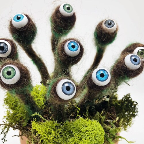 Eye Lichen Labyrinth Themed Gift - Etsy