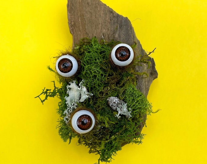 Mini Magnet Eye Lichen Art Sculpture, Labyrinth Movie, Labyrinth Gift ...