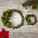 Small 6” Eye Lichen Wreath, Labyrinth Movie Gift Idea, Creepy Eyeball ...