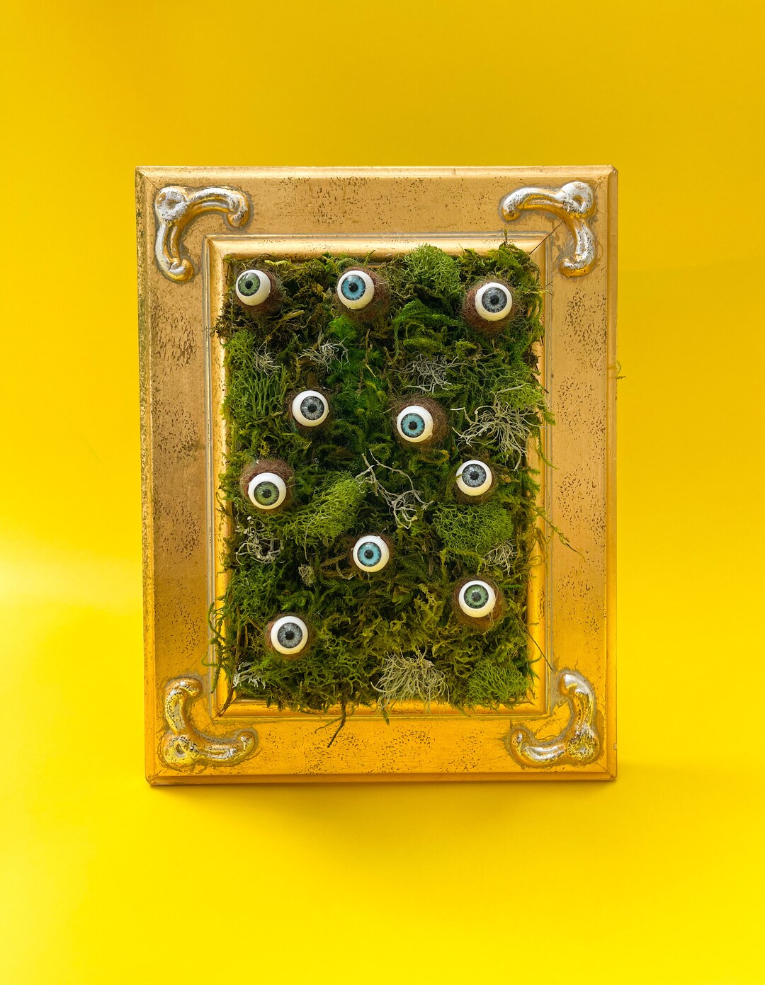 Framed 4x6 Eye Lichen Plant Art Sculpture, Gothic Eyeball Decor ...