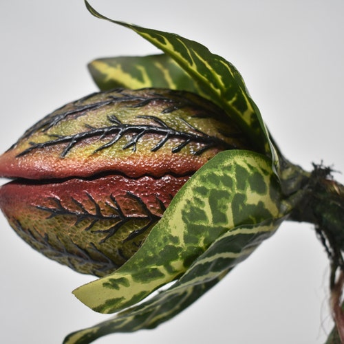 Audrey Plant From Little Shop of Horrors 8 Tall Prop - Etsy