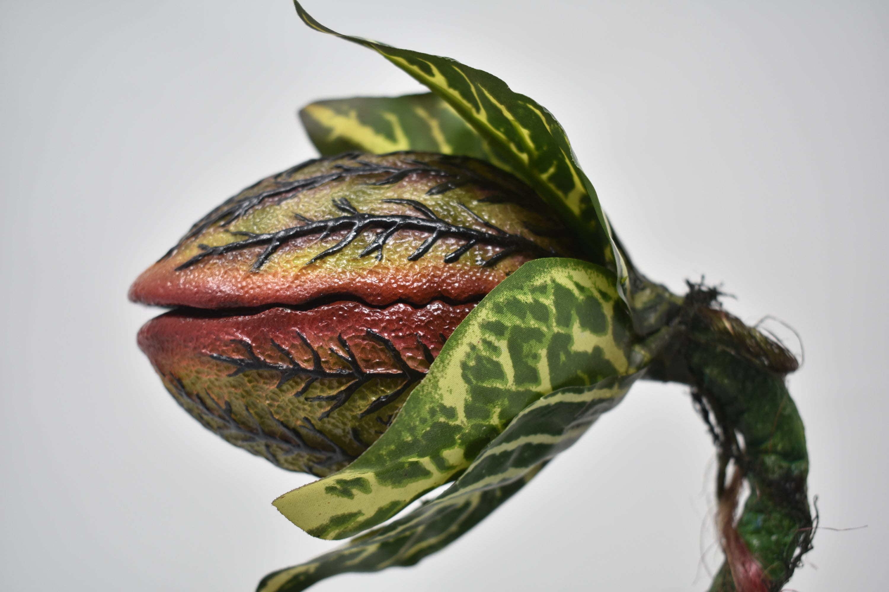 Deluxe Baby Audrey II Replica Prop Display from Little | Etsy