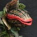 Audrey II / 2 Replica Movie Prop Little Shop of Horrors Halloween ...