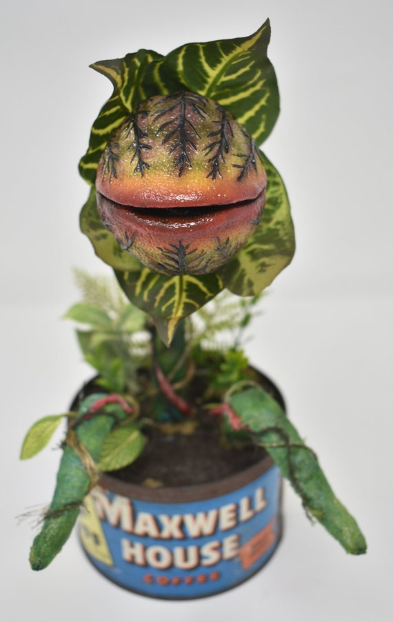 Baby Audrey Ii