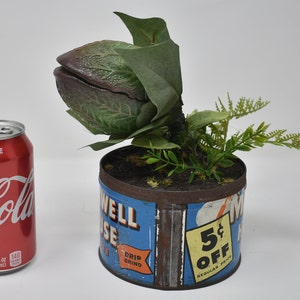 Baby Audrey II Replica Prop Display From "little Shop of Horrors" - Etsy
