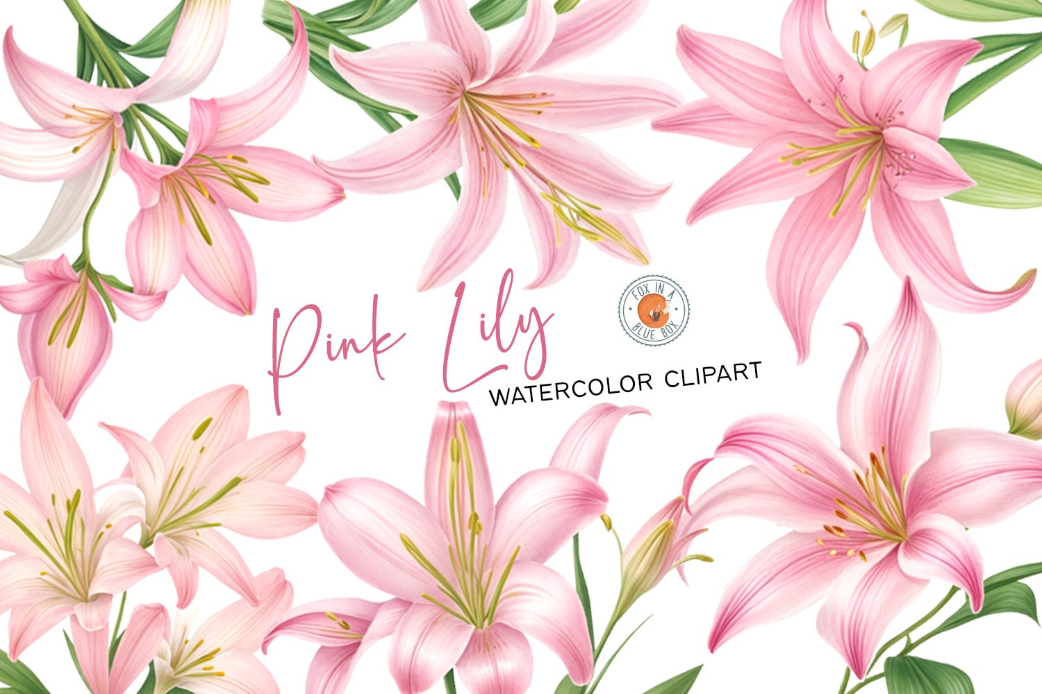Pink Lily Clipart, Pink Lily Flowers in PNG Format, Watercolor Pink ...