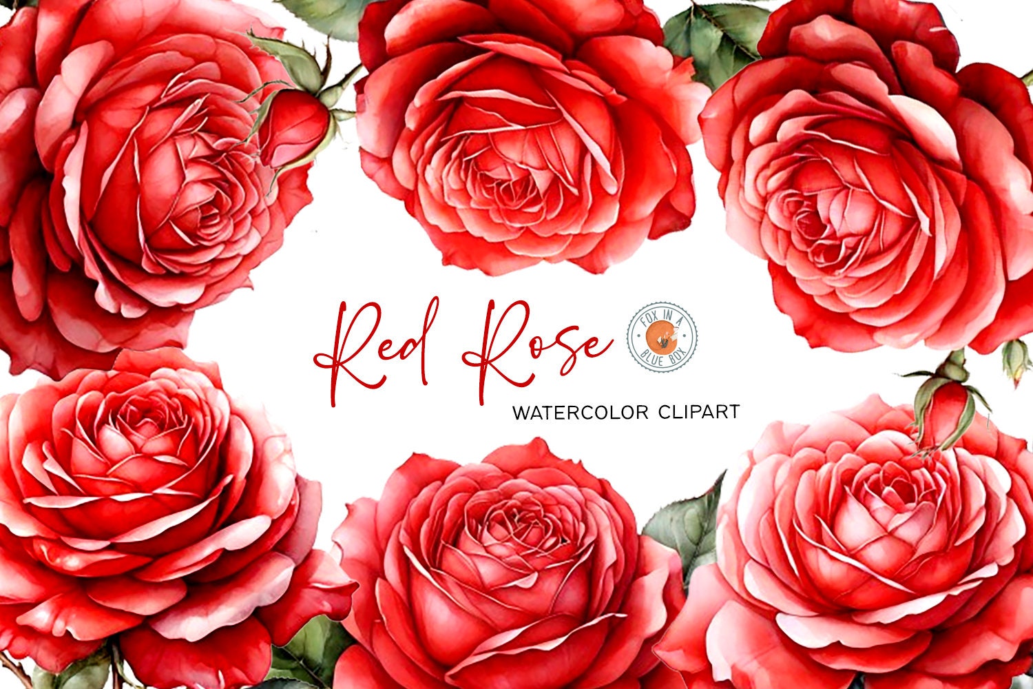 Red Rose Clipart, Red Rose in PNG Format, Watercolor Red Rose Clipart ...