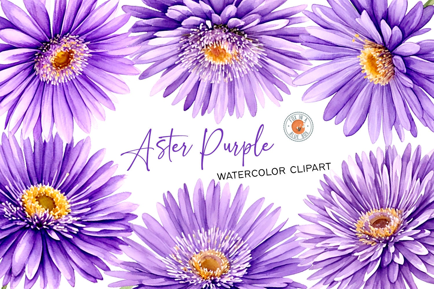 Aster Purple Clipart, Aster Purple Flowers in PNG Format, Watercolor Aster Purple Clipart ...