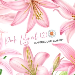 Pink Lily Vol-(2) Clipart, Pink Lily Flowers in PNG Format, Watercolor ...