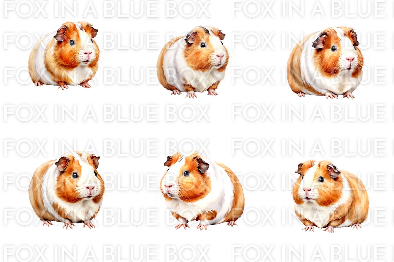 Watercolor Guinea Pig Clipart: PNG Bundle (6 Images) - Etsy