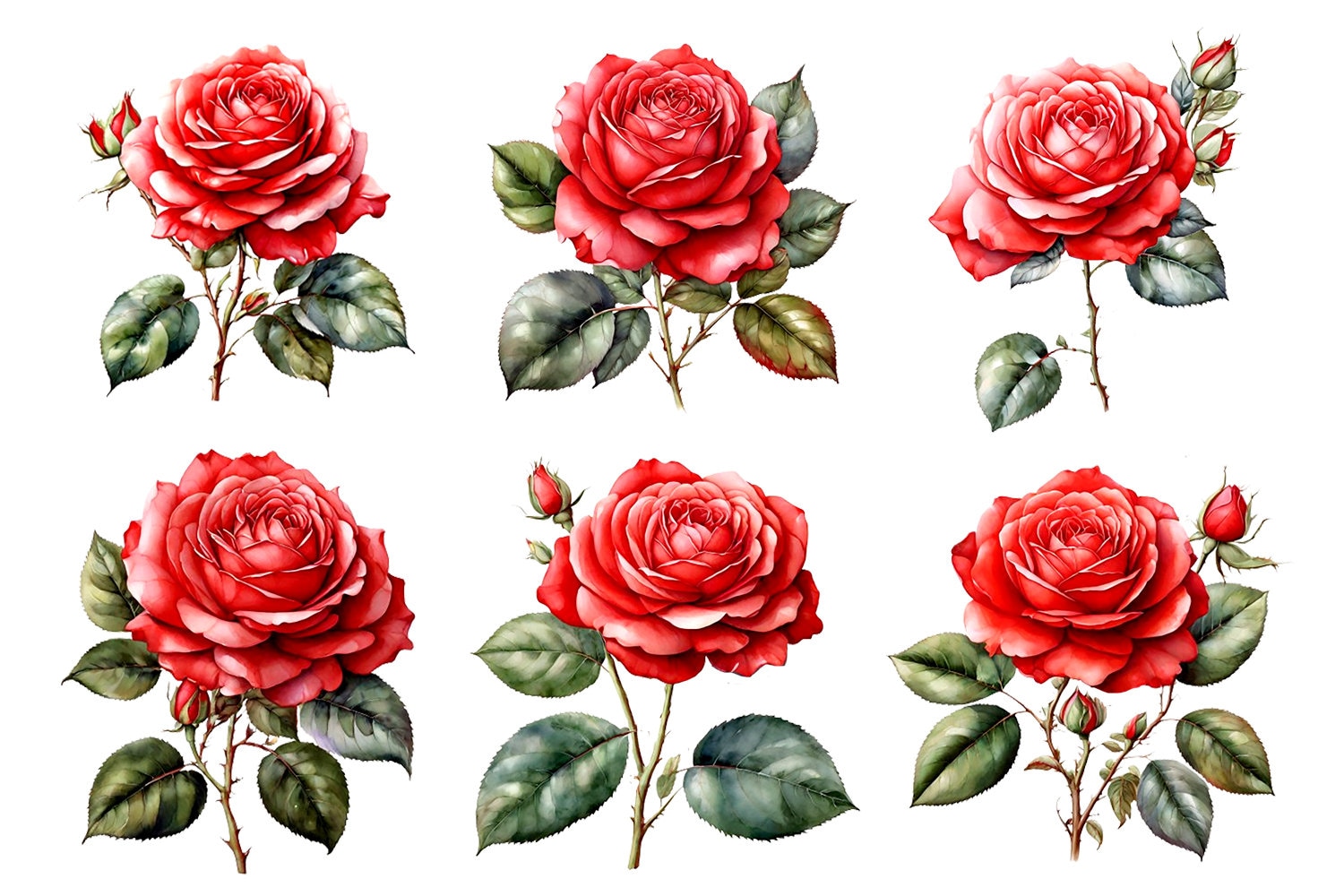 Red Rose Clipart, Red Rose in PNG Format, Watercolor Red Rose Clipart ...