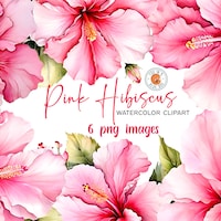 Watercolor Hibiscus Flowers Clipart, High Quality Transparent PNG ...