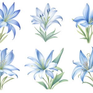 Blue Lily Clipart, Blue Lily Flowers in PNG Format, Watercolor Blue ...