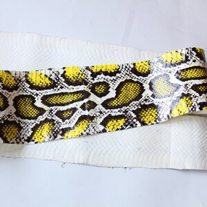 Cobra SNAKESKIN SNAKE SKIN Hide Tanned Burmese Python Print 2 - Etsy