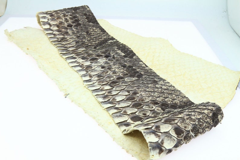 Aged Python Snake Skin Hide Leather Snakeskin Belly Piece - Etsy