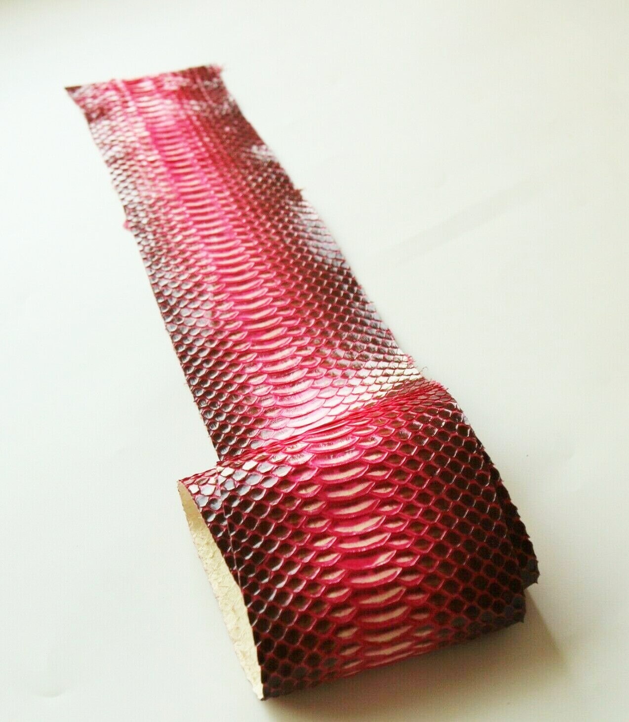 Authentic Sea Snake Skin SNAKESKIN HIDE Craft Supply 5 Colors | Etsy