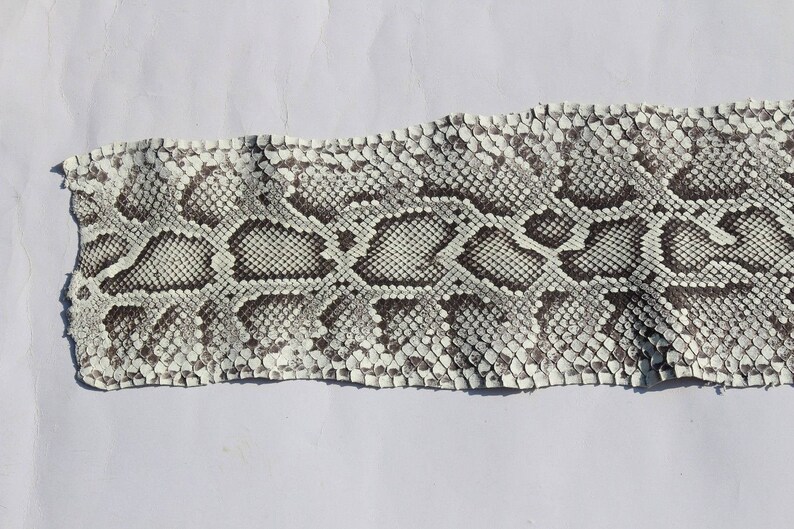 Genuine Burmese Python Skin Natural | Etsy