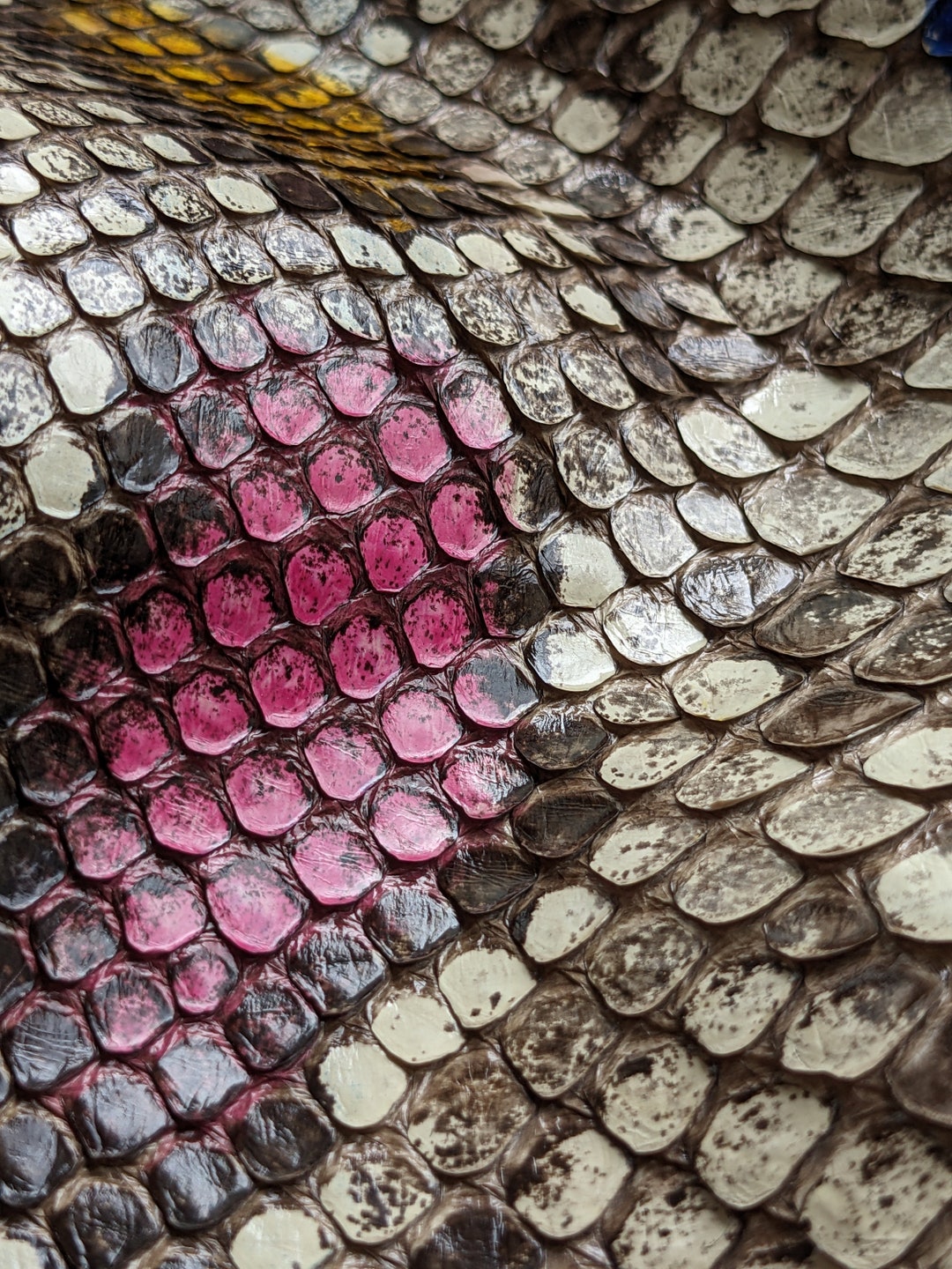 Genuine Burmese Python Skin Leather Tanned Supple Hide Glossy Muticolor ...