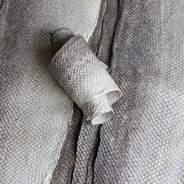 Fish Skin Leather - Etsy