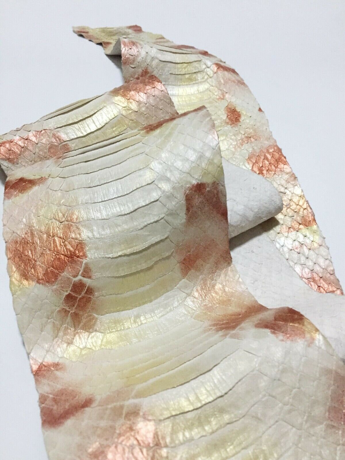 Elaphe Carinata Snake Skin Hide Leather Snakeskin Beige | Etsy