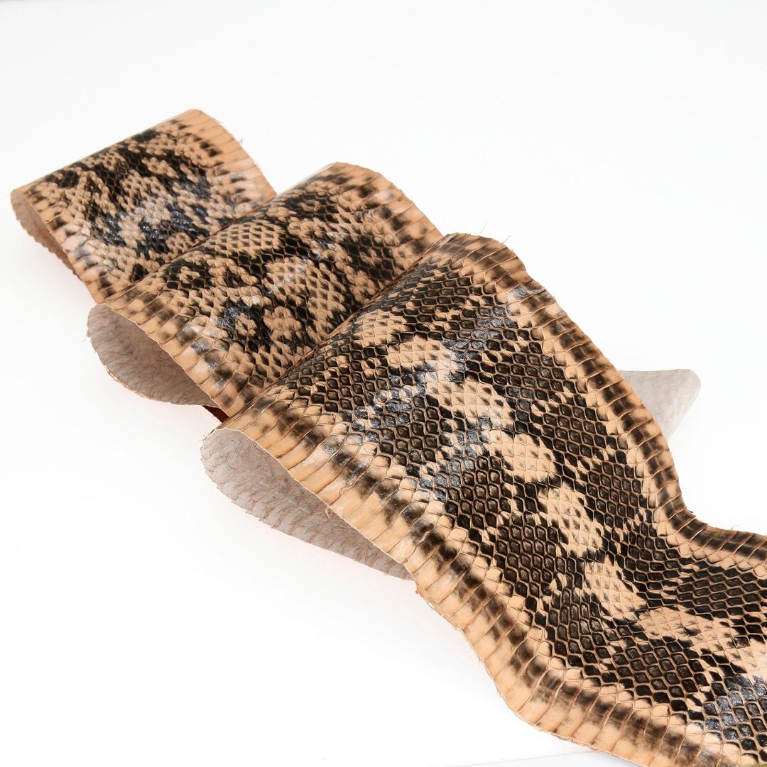 Elaphe Carinata Snake Skin Leather Snakeskin Craft Supply Unbleached ...