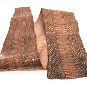 Asia Cobra Snake Skin Hide Leather Snakeskin Craft Supply Glossy Soft ...