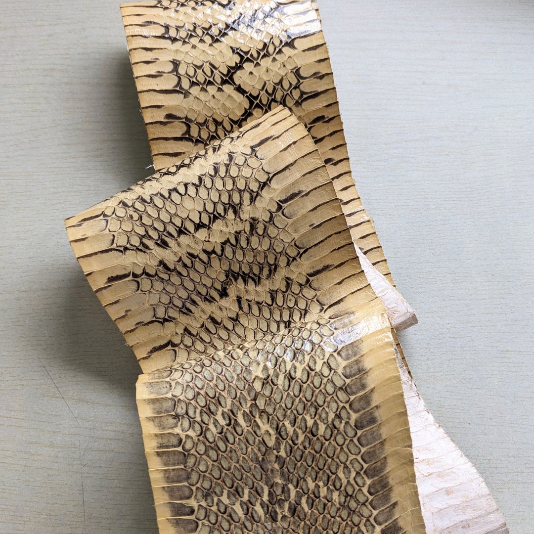 Genuine Snakeskin Leather Pelt Craft Supply Unbleached Emerald Green - Etsy