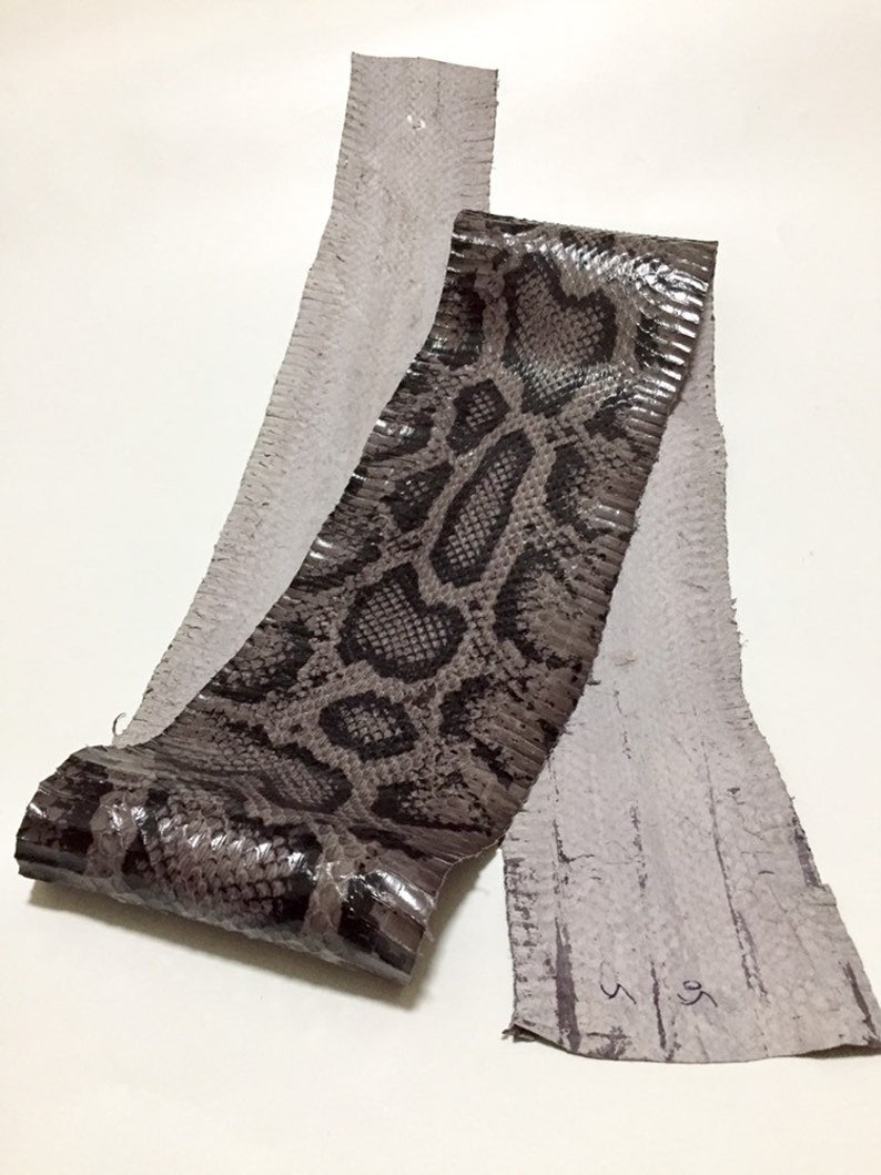 Peau de cuir de Cobra Gris Véritable peau de serpent - Etsy France