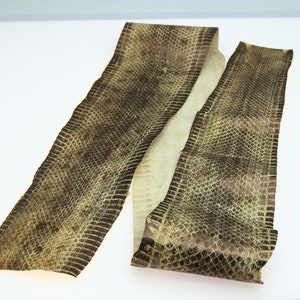 Vintage Metallic Snakeskin Leather Elaphe Snake Skin Hide - Etsy