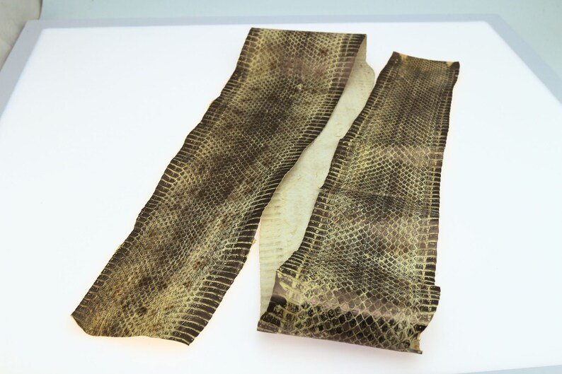 Vintage Metallic Snakeskin Leather Elaphe Snake Skin Hide | Etsy
