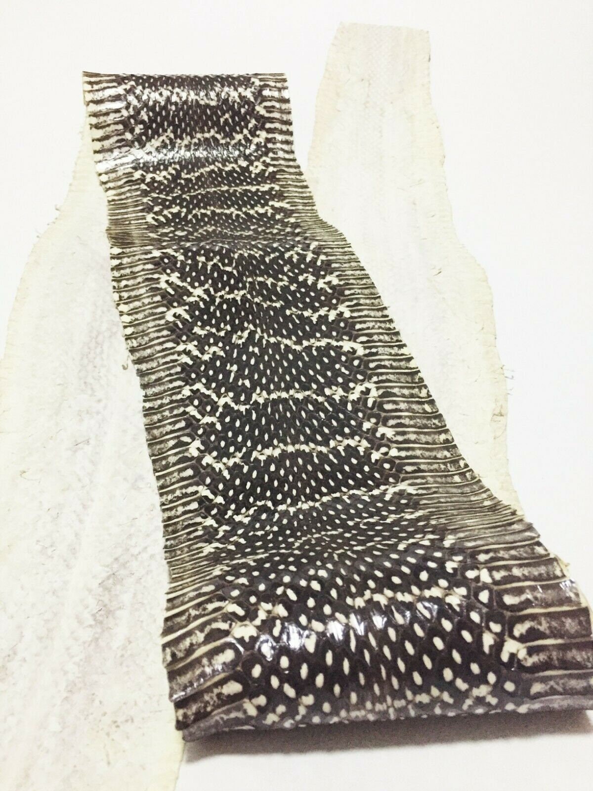 Elaphe Carinata Snake Skin Hide Leather Snakeskin Natural | Etsy