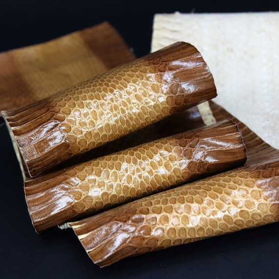 Two-tone Cobra Snake Skin Snakeskin Leather Hide Craft Supply - Etsy