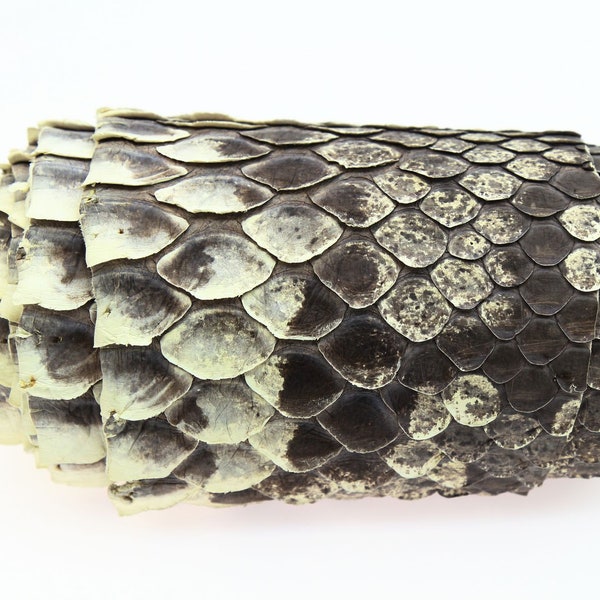 Python Snake Skin - Etsy