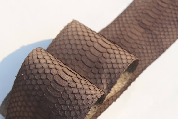 Leather Materials Sea Python Snake Skin SNAKESKIN HIDE Craft Supply ...